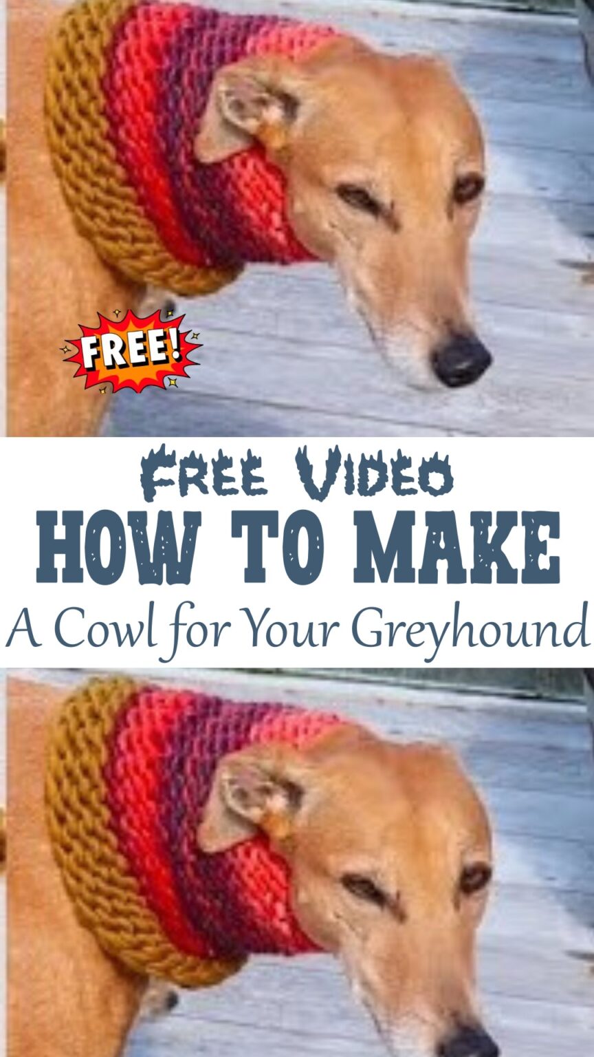Crochet Dog Snood Patterns